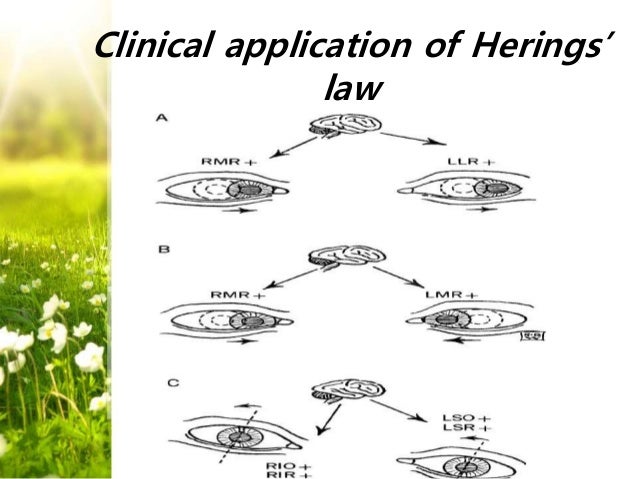 Anatomy and physiology of extraocular muscles and applied aspects