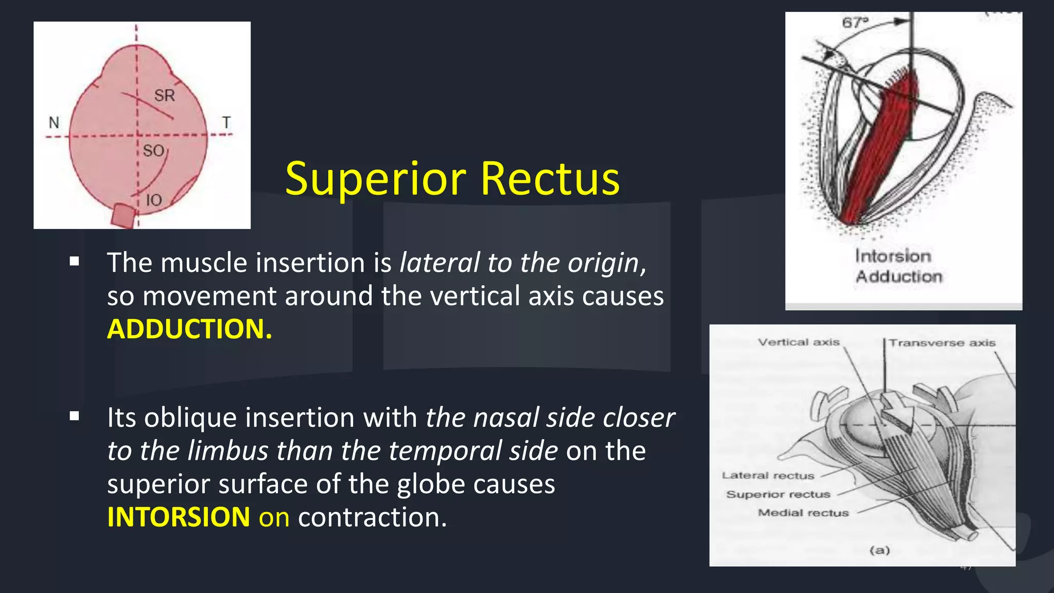 Eoms & ocular motility | PPTX