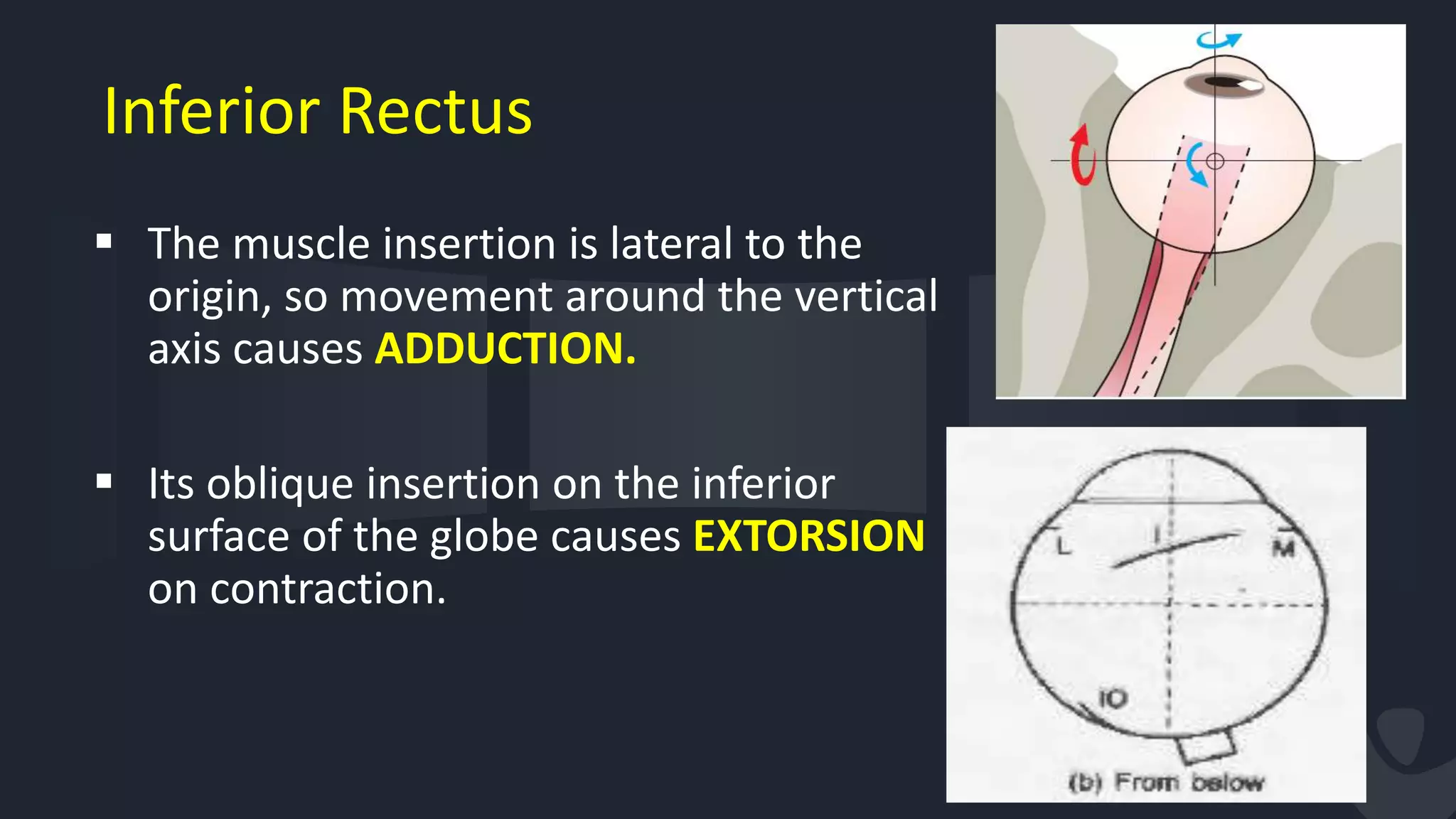 Eoms & ocular motility | PPTX