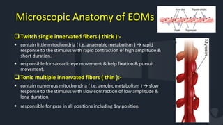 Eoms & ocular motility | PPTX