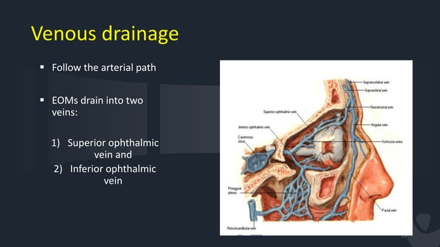 Eoms & ocular motility | PPTX | Eye and Vision Conditions | Diseases ...
