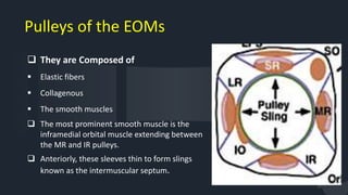 Eoms & ocular motility | PPTX