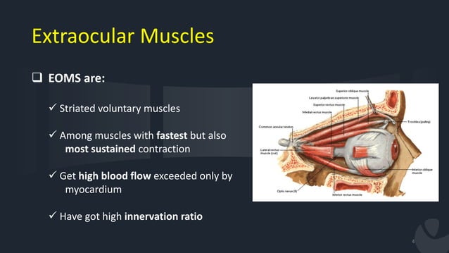 Eoms & ocular motility | PPTX | Eye and Vision Conditions | Diseases ...