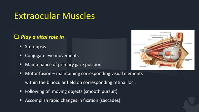 Eoms & ocular motility | PPTX | Eye and Vision Conditions | Diseases ...