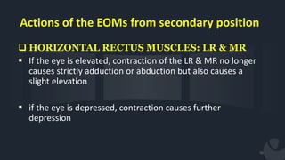Eoms & ocular motility | PPTX