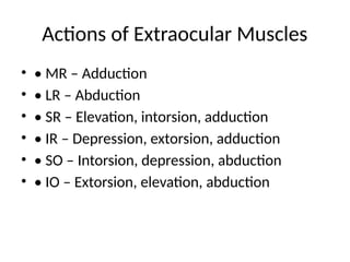 Extraocular muscle function and squint types | PPTX