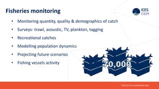 Observations for fisheries and ecosystem approach | PPT