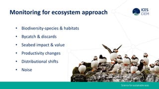 Observations for fisheries and ecosystem approach | PPT