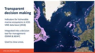 Observations for fisheries and ecosystem approach | PPT