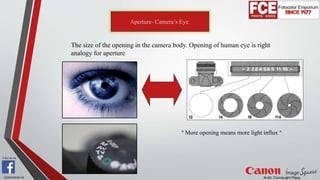 Basics of Photography | PPTX