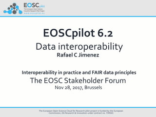 Interoperability in practice and FAIR data principles | PDF
