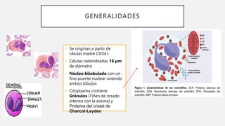 Eosinofilia.pptx