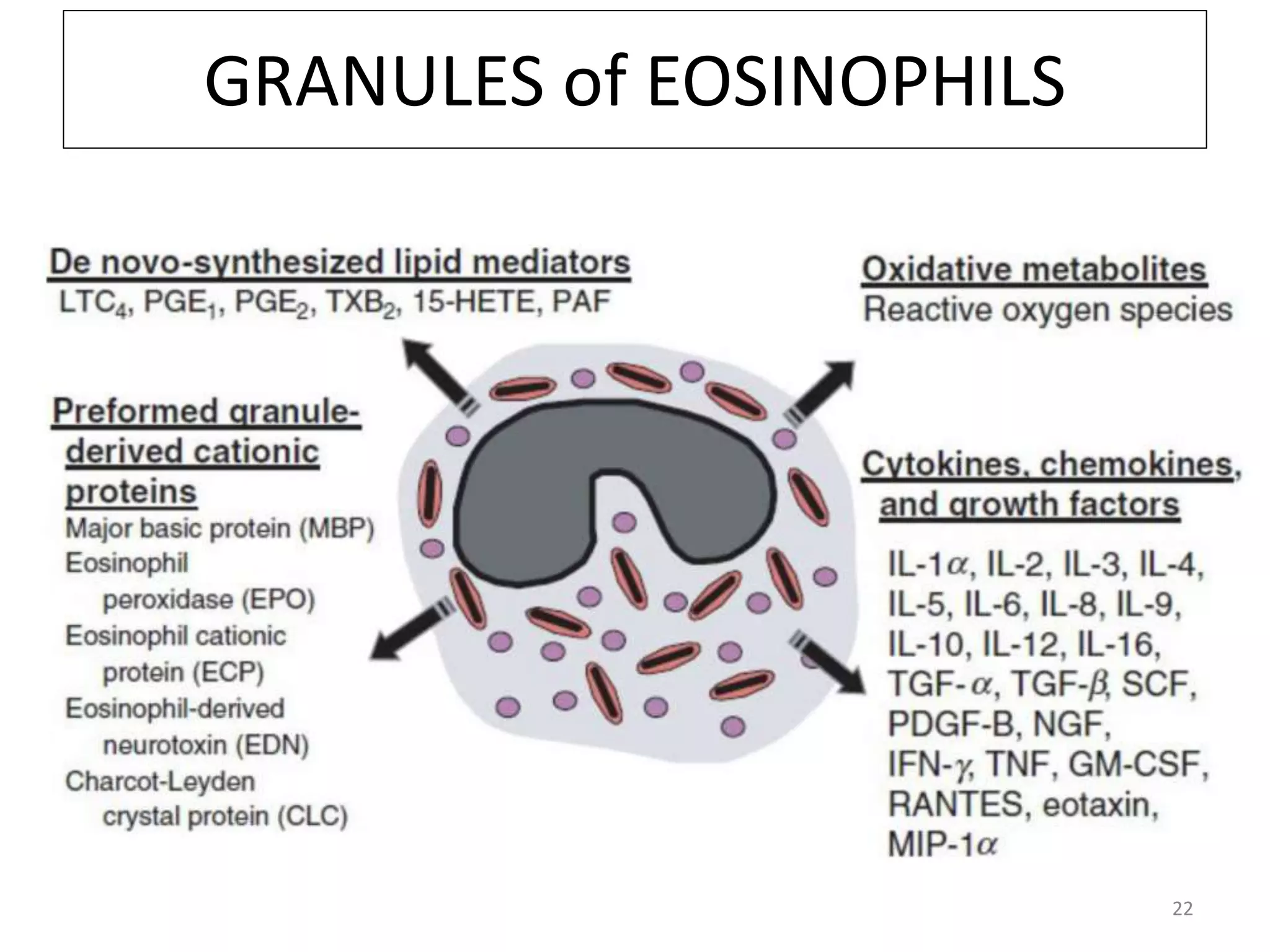Eosinophilia | PPTX