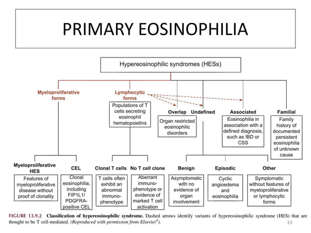 Eosinophilia | PPTX | Blood Disorders | Diseases and Conditions