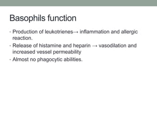 Eosinophils and BASOPHILSkhadeejaimad.pptx | Blood Disorders | Diseases ...