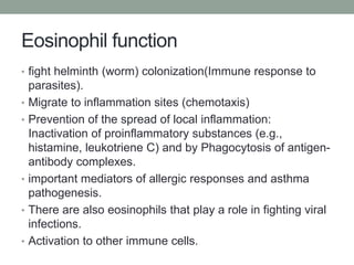 Eosinophils and BASOPHILSkhadeejaimad.pptx | Blood Disorders | Diseases ...