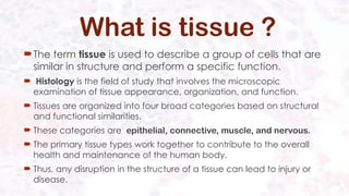COMPLETE DETAILS OF EIPTHELIA TISSUE WITH DIAGRAM | PPTX