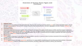 COMPLETE DETAILS OF EIPTHELIA TISSUE WITH DIAGRAM | PPTX