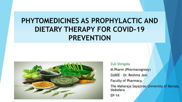 Ep 14 zuli shingala | PPT