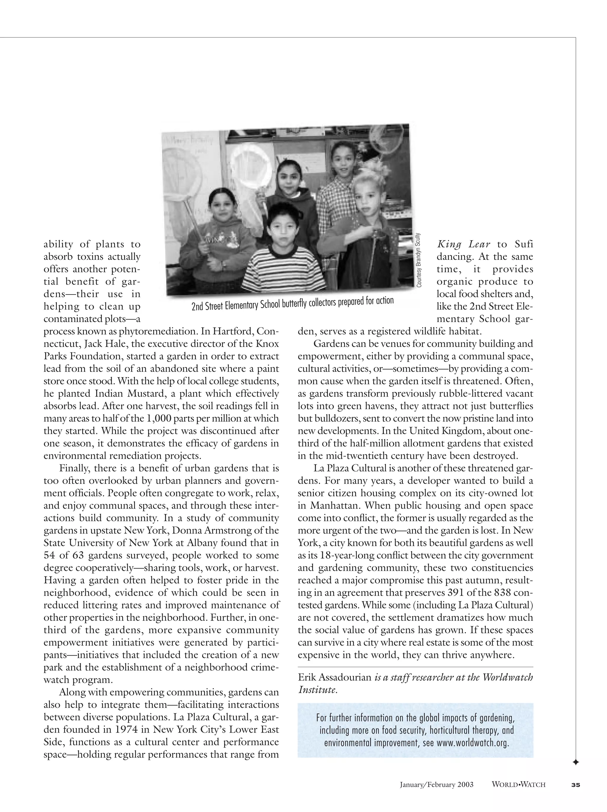 Cultivating the Butterfly Effect | PDF