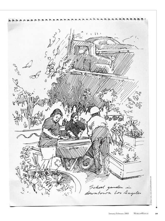 Cultivating the Butterfly Effect | PDF