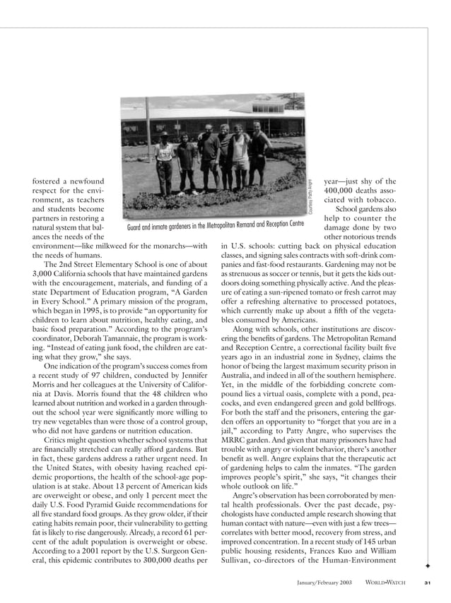 Cultivating the Butterfly Effect | PDF