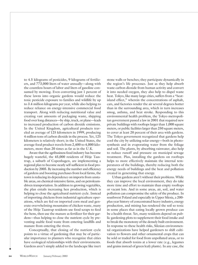 Cultivating the Butterfly Effect | PDF