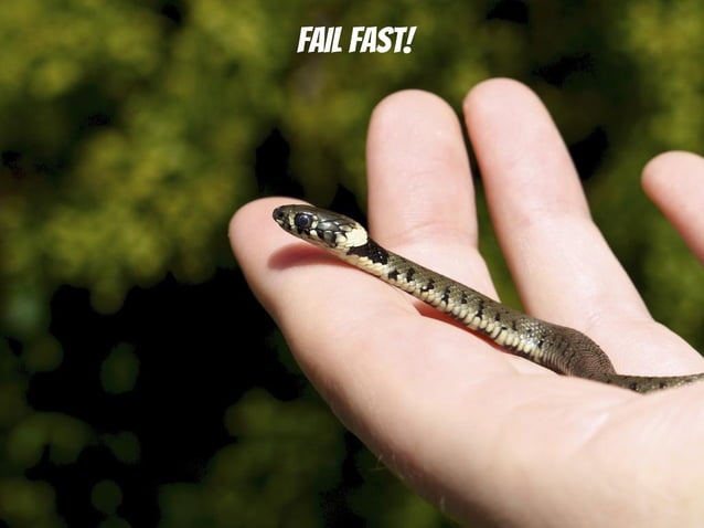 PYTHON: From programmer to tamer | PPT