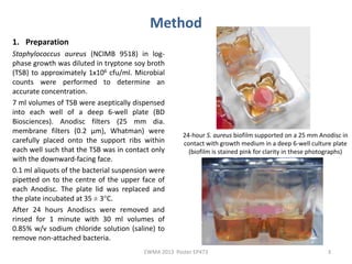 EWMA 2013 - Ep473 -A new anti-biofilm dressing Demonstration of ...