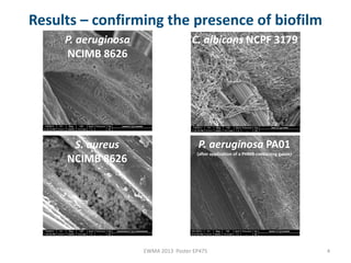 EWMA 2013 - Ep475 - A new anti-biofilm dressing in vitro determination ...