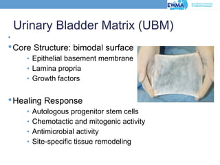 EWMA 2013 - Ep552 - THE USE OF URINARY BLADDER MATRIX (ACELL) IN THE ...