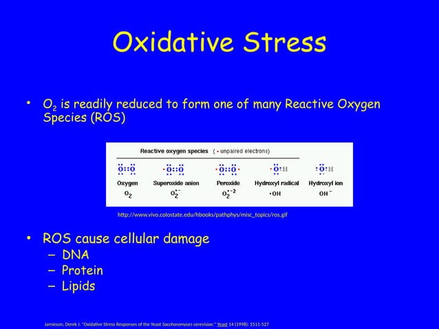 oxidative stress oxidative stress oxidative stress | PPT