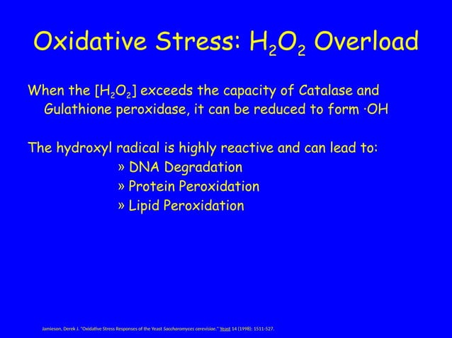 oxidative stress oxidative stress oxidative stress | PPT