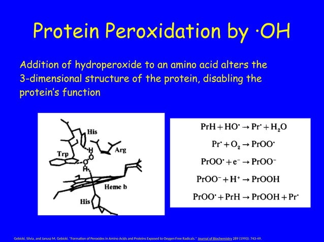 oxidative stress oxidative stress oxidative stress | PPT