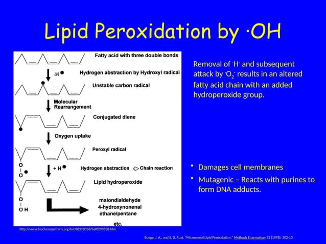 oxidative stress oxidative stress oxidative stress | PPT