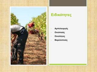 Κρασί και θέσεις εργασίες | PPT