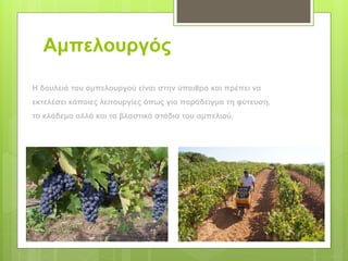 Κρασί και θέσεις εργασίες | PPT