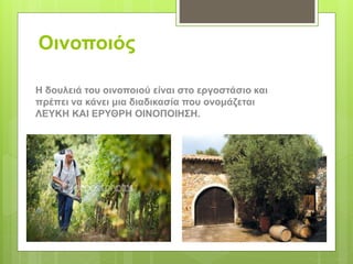 Κρασί και θέσεις εργασίες | PPT