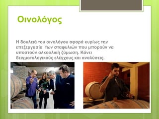 Κρασί και θέσεις εργασίες | PPT