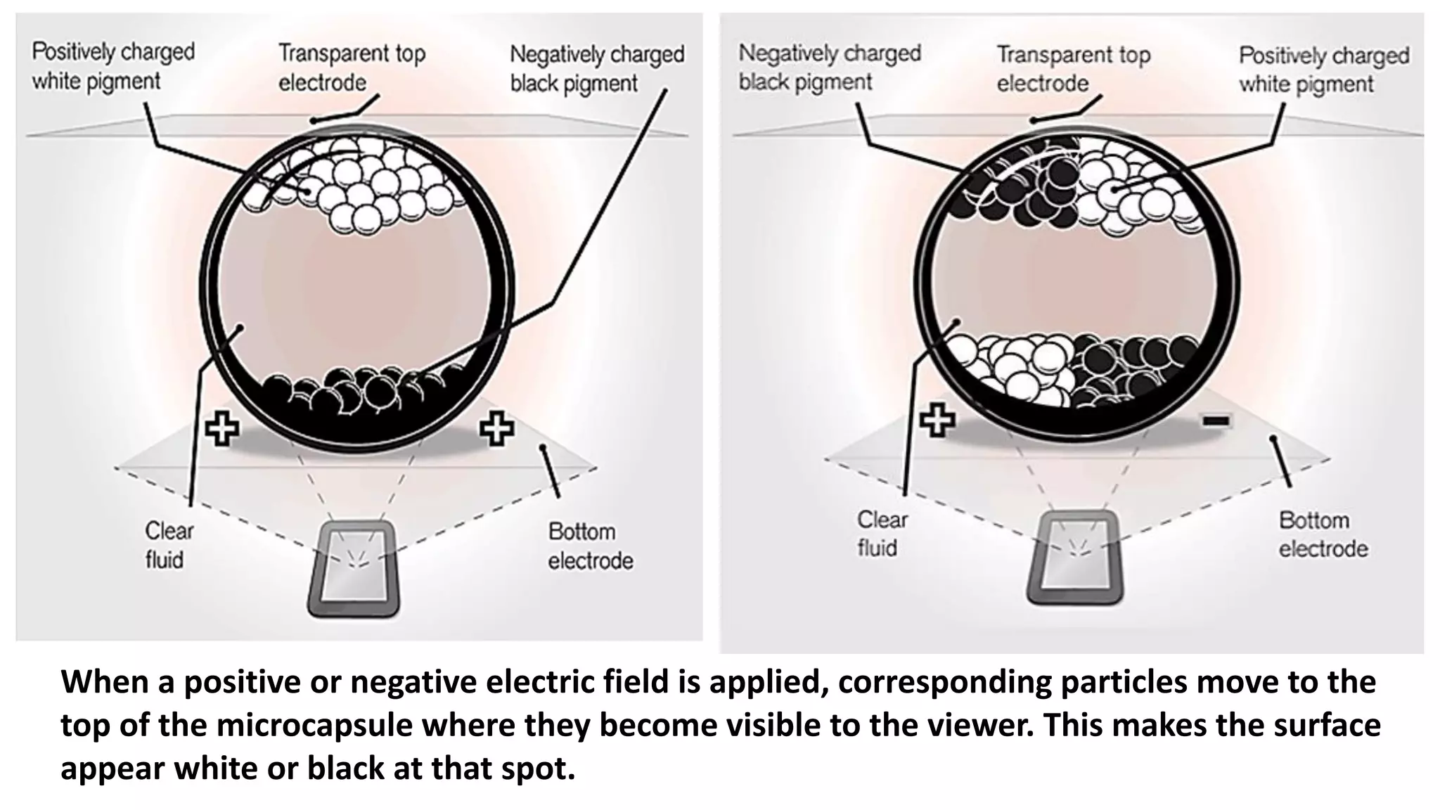 Electronic Paper (e-Paper) | PDF