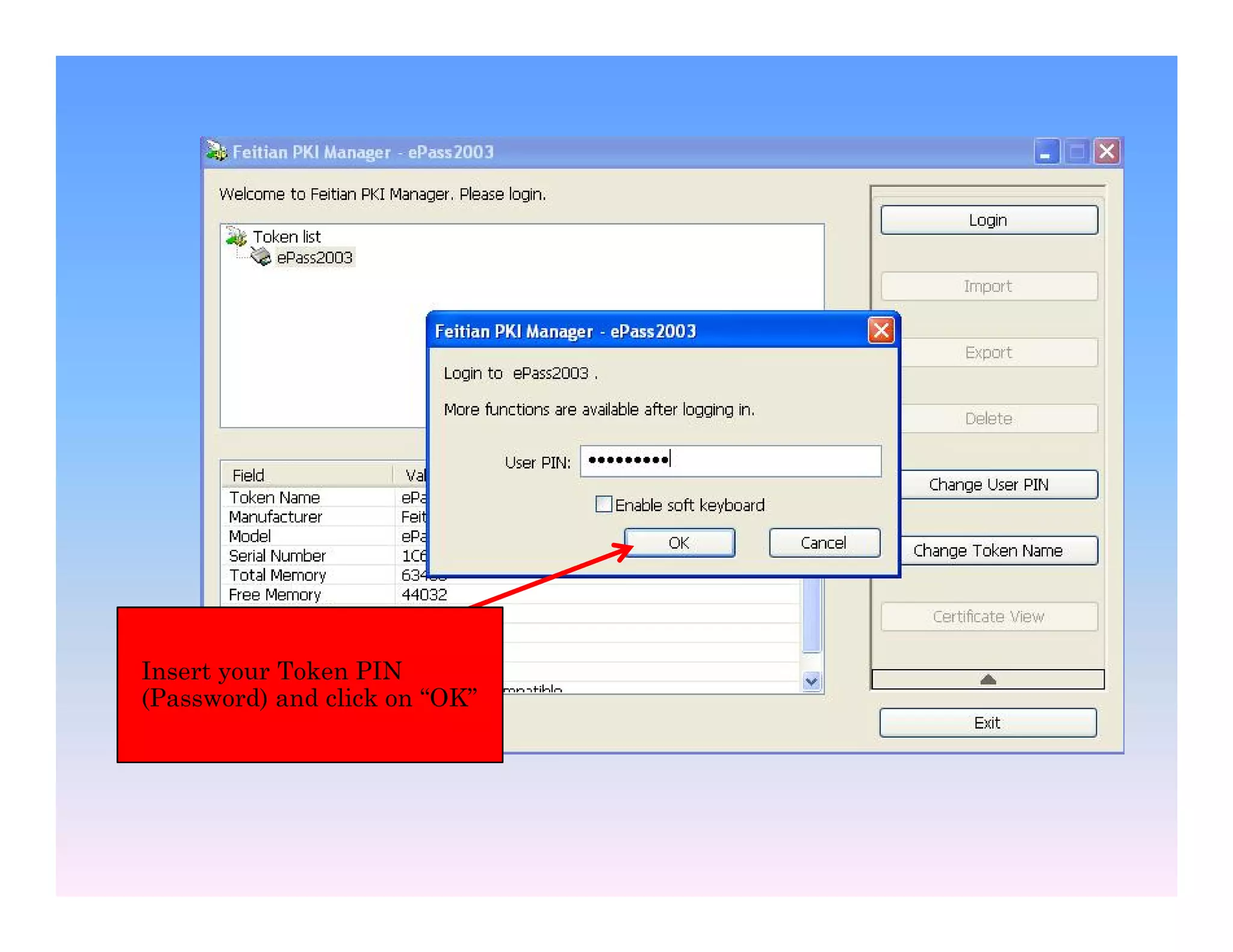 Epass 2003 token installation guide | PDF
