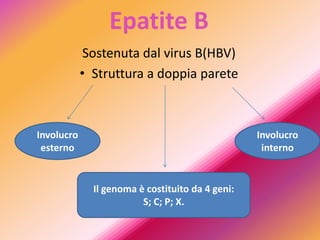 Epatite | PPT