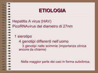 Epatite a ch | PPT