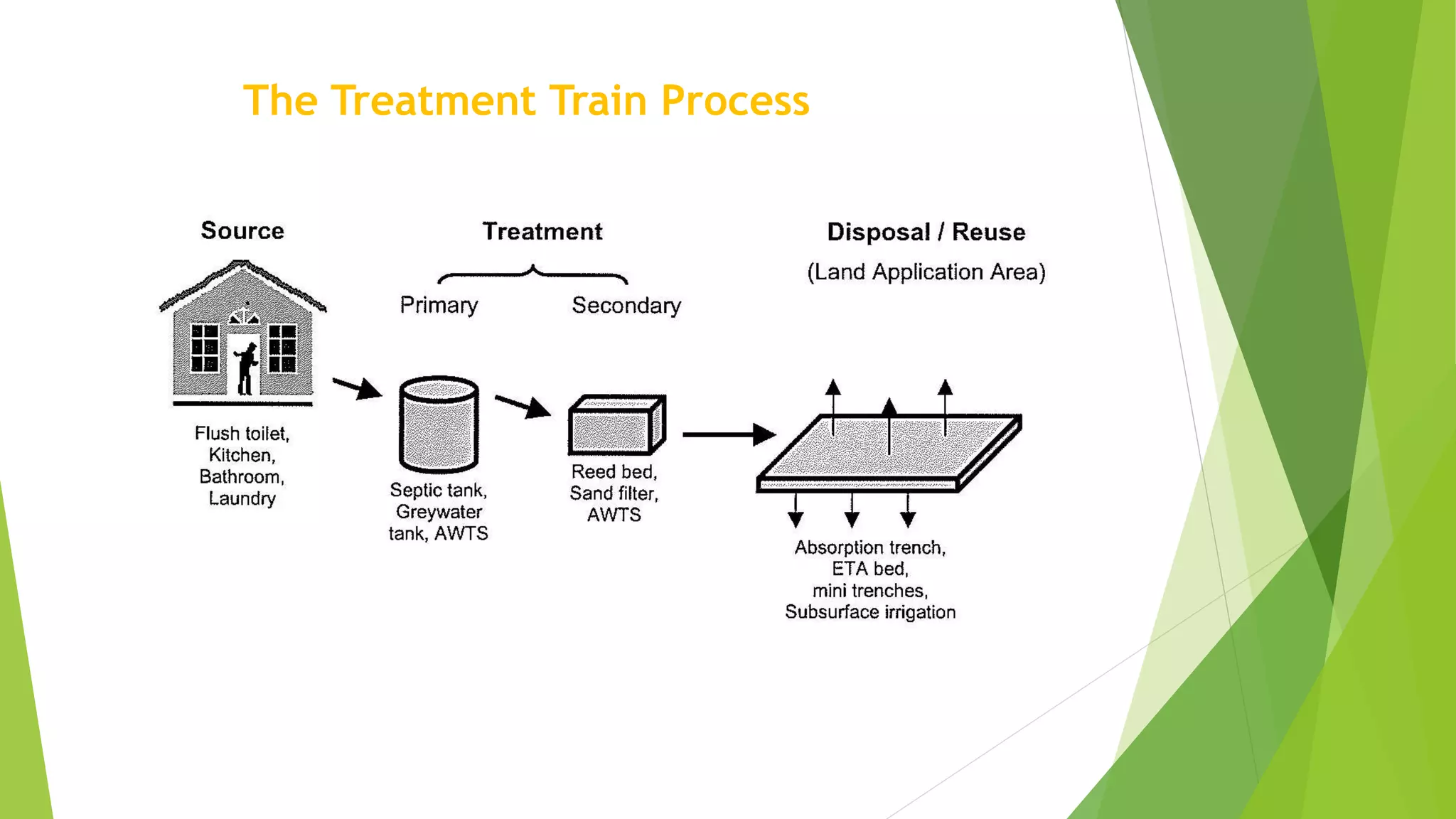The use of reed beds for the treatment of sewage and wastewater. | PPT