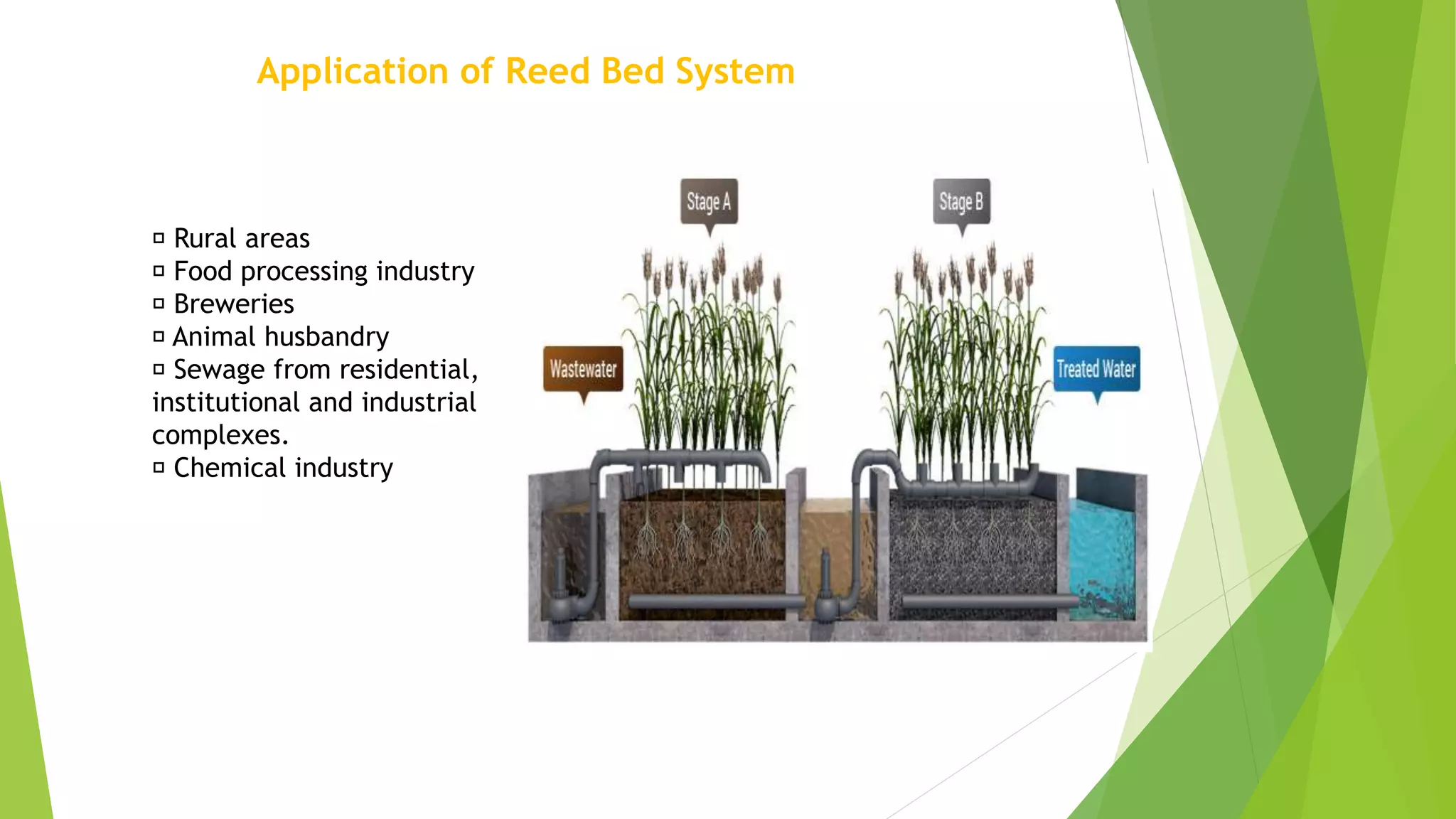 The use of reed beds for the treatment of sewage and wastewater. | PPT