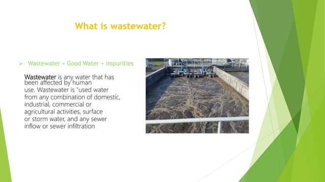 The use of reed beds for the treatment of sewage and wastewater. | PPT
