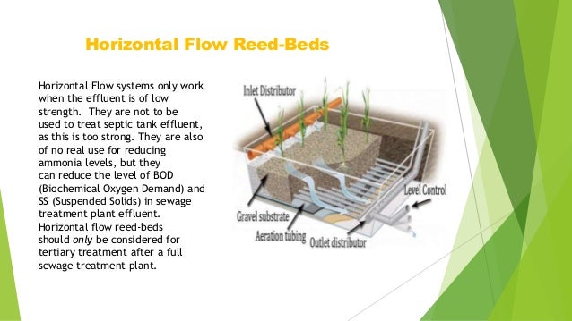 The use of reed beds for the treatment of sewage and wastewater.