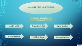 Biological treatment of wastewater. | PPT