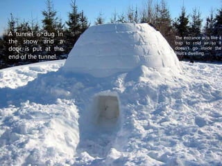 Epc igloo | PPTX