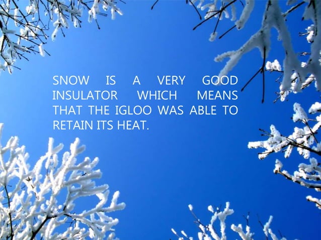 Epc igloo | PPTX | Polar Travel | Travel Locations